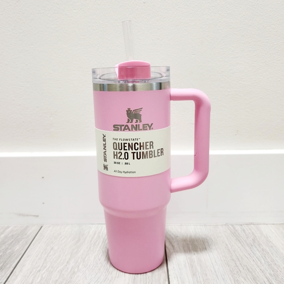 Stanley | Dining | Stanley 3oz Quencher H20 Flowstate Tumbler Sizzling ...